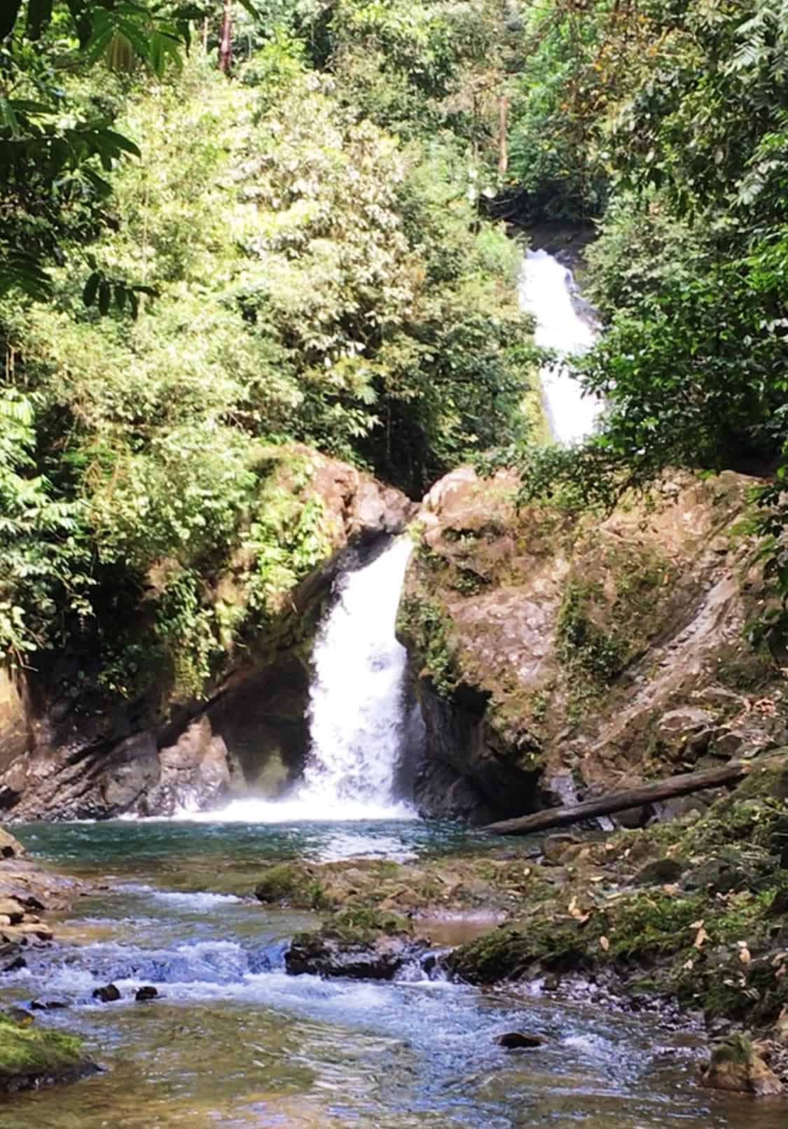 My Escape to Sylvan | The Planning Center